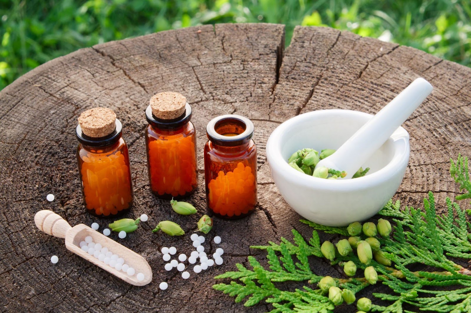 Top Homeopathic Remedies for Fever Relief - Doctronic